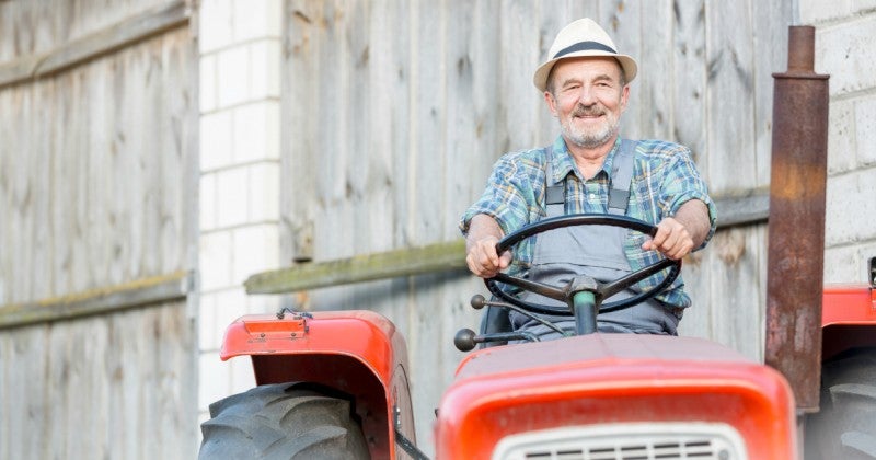 What Percent of 75-Year-Olds Are Still Working?