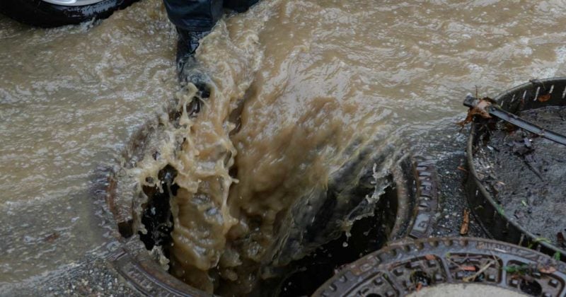 DNC’s Sewage Dumping Could Be a Federal Crime