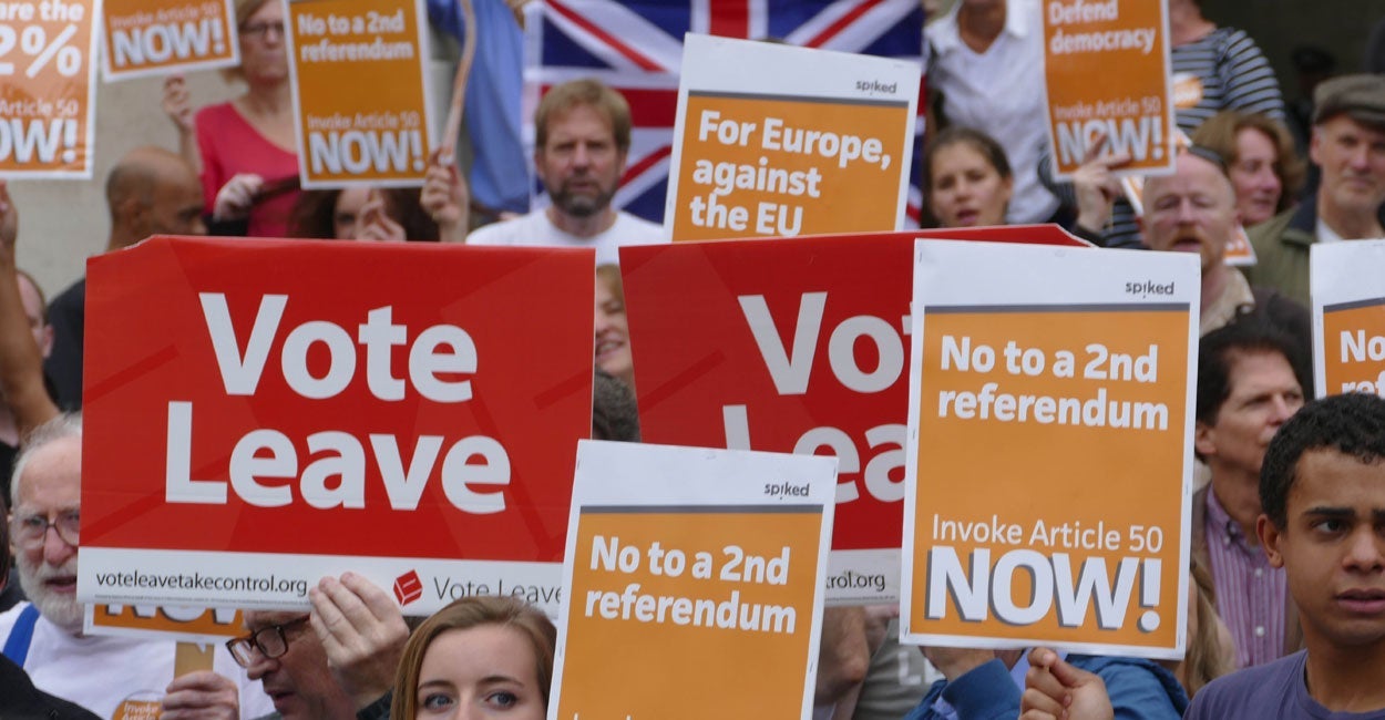 Architect of Brexit Win Reflects on Wooing Swing Voters