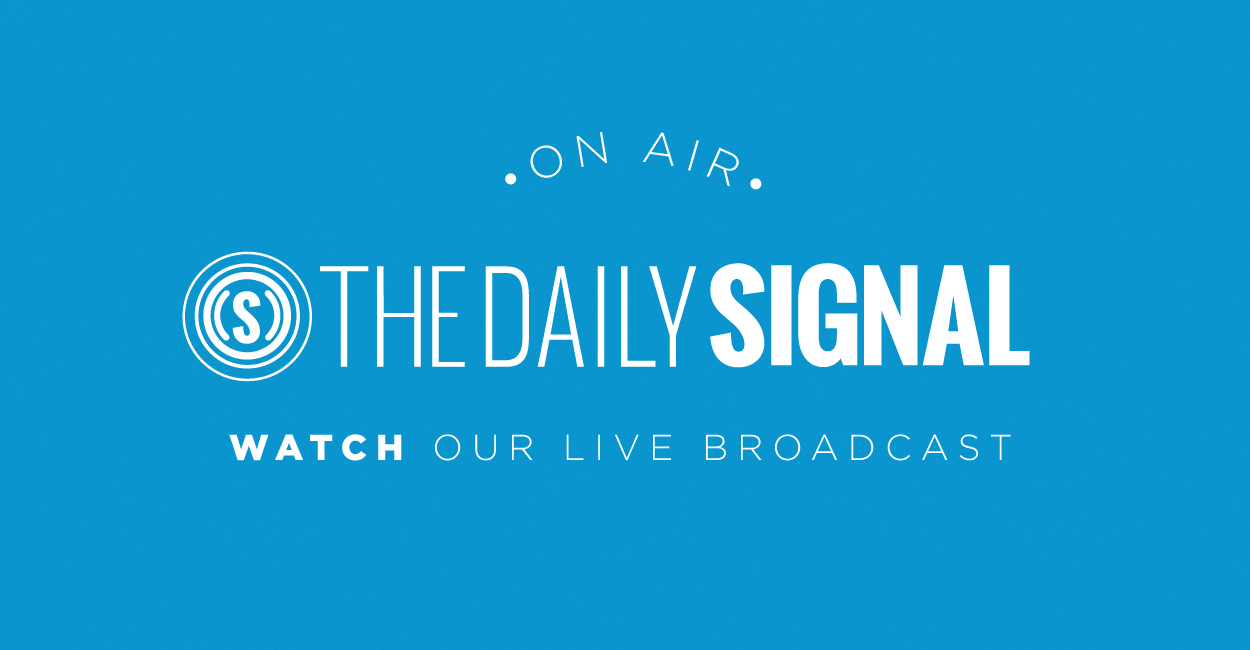 LIVE on The Daily Signal: Election Night 2024