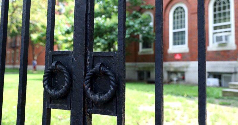 Academic Intellectuals and Their Despicable Behavior