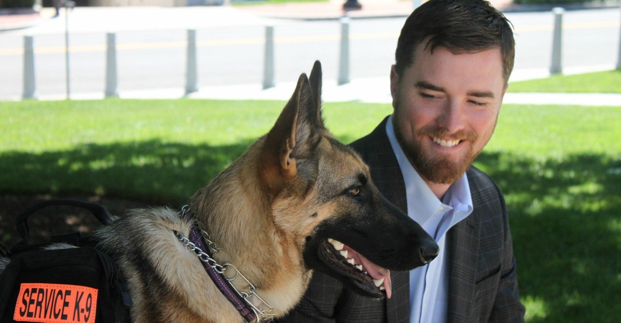 American Heroes Are Being Saved By Service Dogs