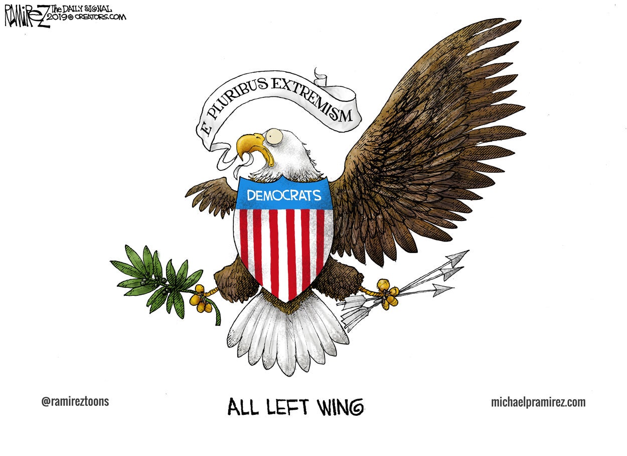 Cartoon: Democrats Flying Leftward