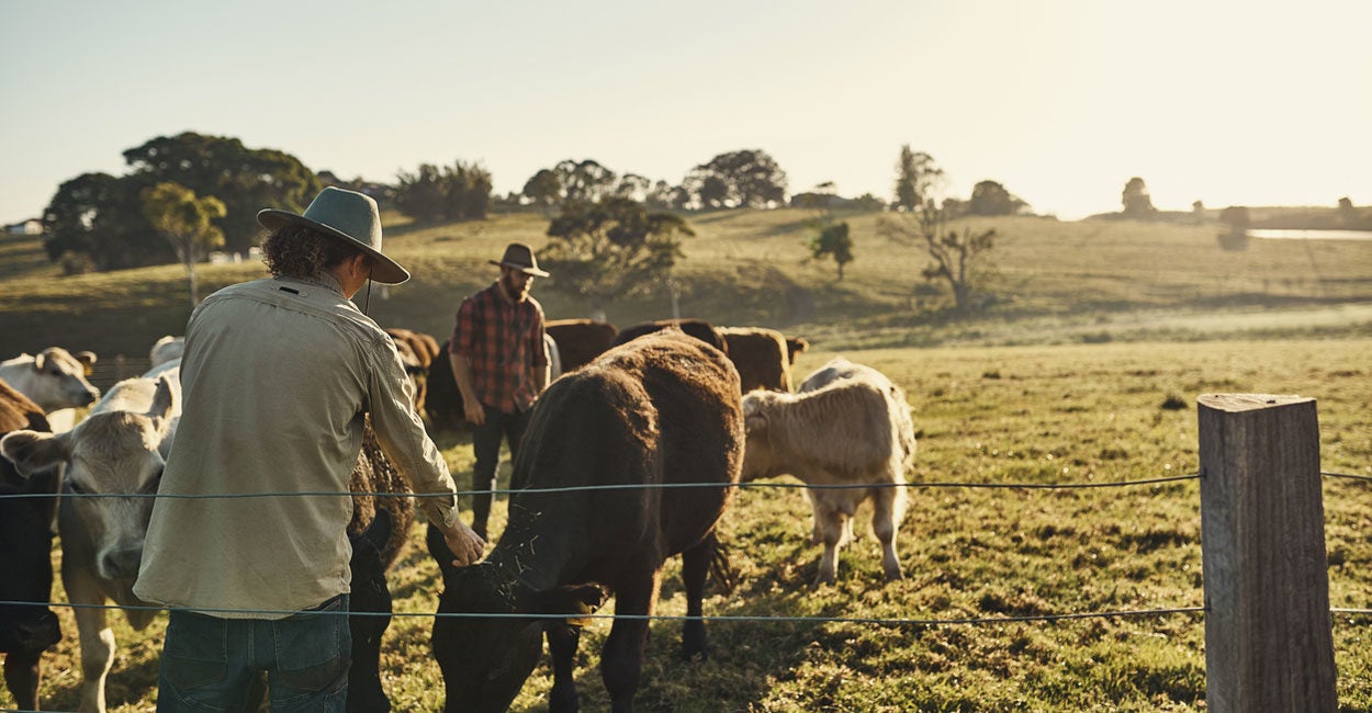 What’s at Stake for US Farmers and Ranchers in NAFTA Renegotiations