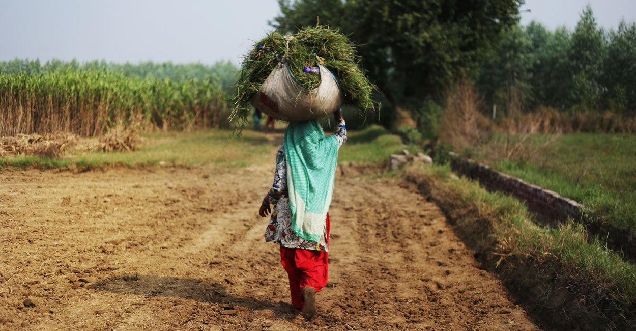 Foreign Aid Is Not the Answer to Global Poverty. Look to Freedom.