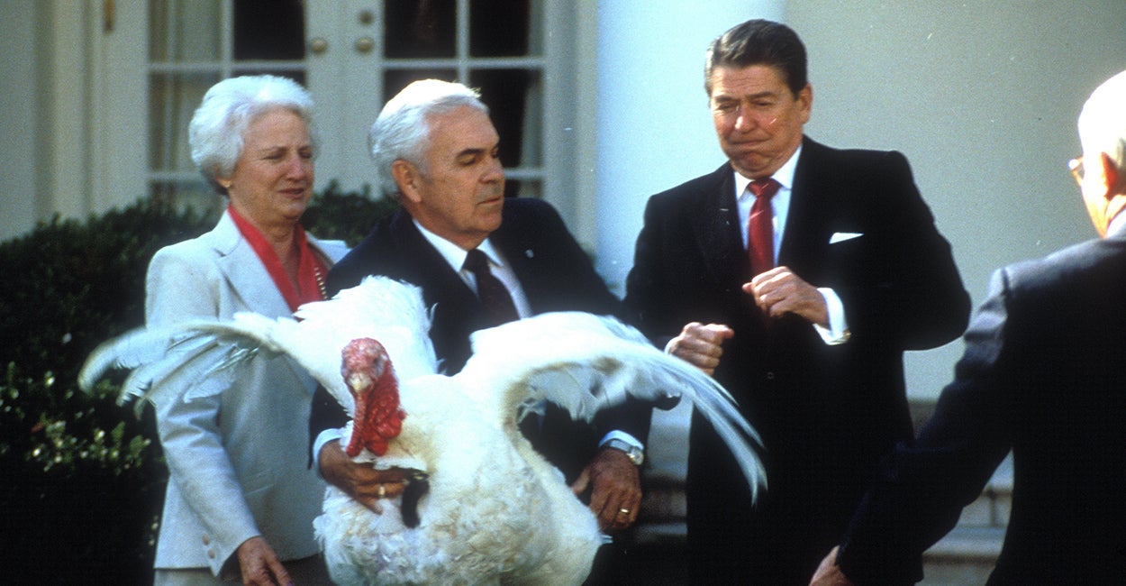 Photos: The Presidential Turkey Pardon
