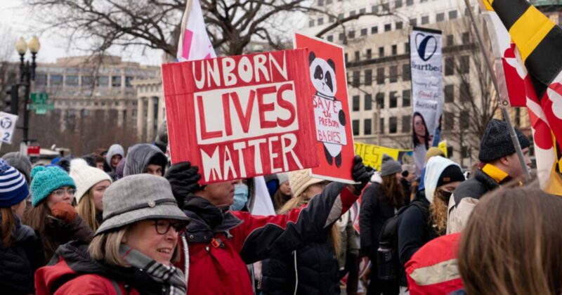 61 of the Best Signs From March for Life