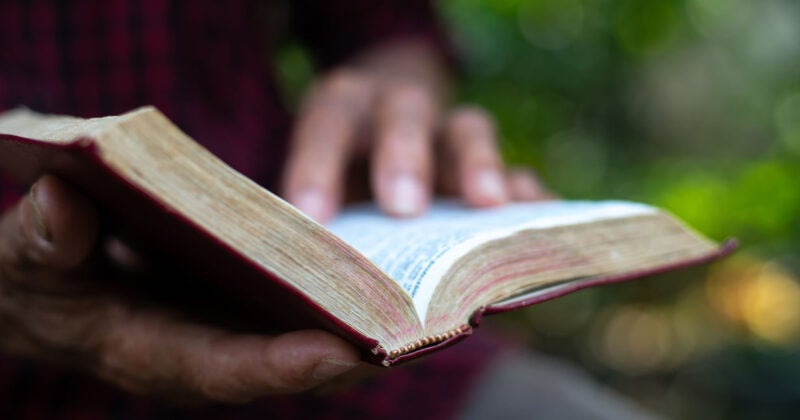 Differences Between a Secular and a Religious Upbringing